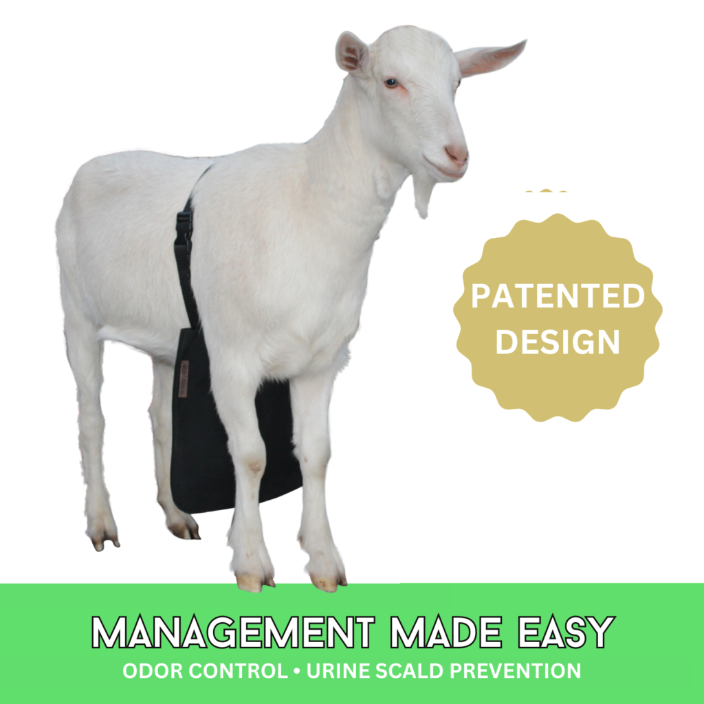 Strap Basic Apron – Urine Scald and Odor Control – www.buckapron.com