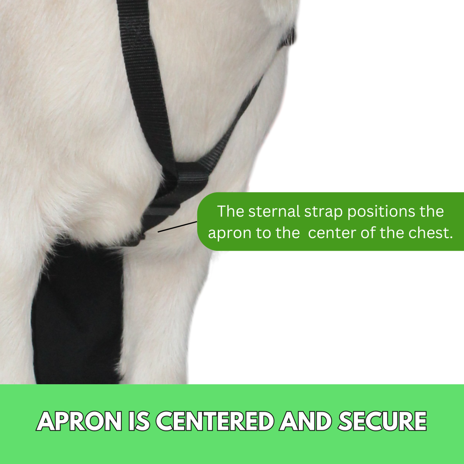 Beyond Design – Anti-Mating Apron – www.buckapron.com
