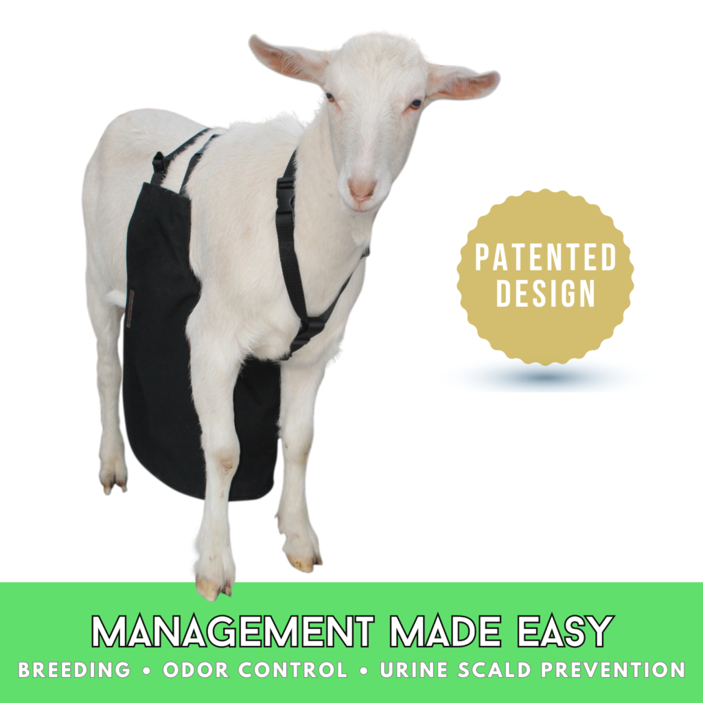 Beyond Design – Anti-Mating Apron – www.buckapron.com